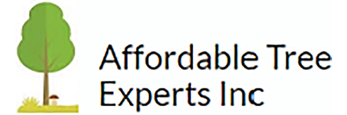 Affordable Tree Experts Inc - Lansing, IL